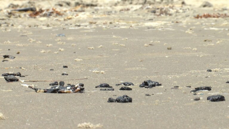 Beach goers complain of tar in Port Aransas, Padre Island